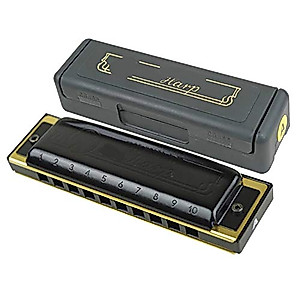 WAAZVXS Harp Diatonic Harmonica 10 Hole 20 Tone Mouth Organ Instrumentos Key Of C Musical Instruments Blues Harp ABS Comb (Color : Key of Db)