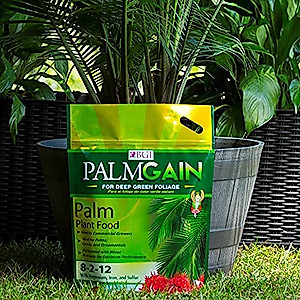 BGI PALMGAIN 10lb Bag Palm Tree Fertilizer, Ferns, Cycads, Ixora