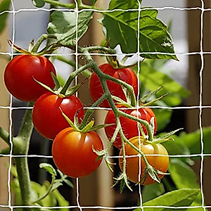 Tcamp Heavy-Duty Polyester Plant Trellis Netting 5 x 15ft (1 Pack) (5 Ft X 15 Ft)