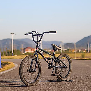 AVASTA Kids Bike 20 Inch BMX Freestyle Bicycle for 6 7 8 9 10 11 12 13 14 Years Old Boys, Freewheel Kids Bike with 360 Gyro Rotor/4 Pegs/Handbrake/Rear U-Brake, Black Red