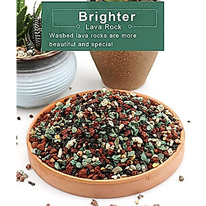 Succulent and Cactus Soil Gritty Mix Rocks, 6lb Bonsai Volcanic Gravel, Indoor Plant Drainage Lava Stones, Small Decorative Potting Pebbles for Terrarium Fairy Gardening and Houseplants Top Dressing