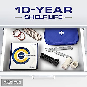 Allmax AAA Maximum Power Alkaline Triple A Batteries (100 Count) – Ultra Long-Lasting, 10-Year Shelf Life, Leakproof Design, Superior Performance – 1.5V