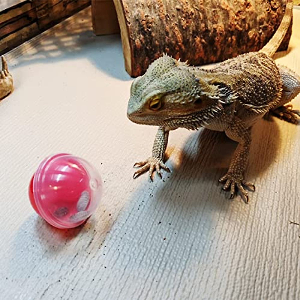 CooShou 6Pcs Lizard Bearded Dragon Feeding Toys Ball Reptile Food Toys Ball Lizard Interactive Toys for Bearded Dragon, Lizard, Gecko and Small Animals