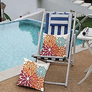 DFXSZ Outdoor Throw Pillow Covers 18x18 Inch Set of 2 Waterproof Spring Summer Geometric Elegant Burnt Orange Outdoor Pillow Covers for Patio Funiture Garden Couch 168D18