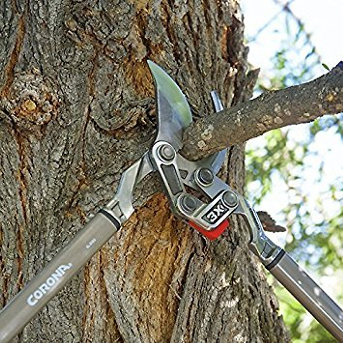 Corona Tools | 33-inch Branch Cutter DualLINK MAXFORGED Bypass Loppers | Tree Trimmer Cuts Branches up to 2-inches in Diameter | SL 8180D