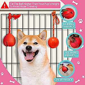 KSVMOAG Interactive Dog Chew Toys for Small and Medium Breeds, Crate Training Aids for Puppies, Puzzle Treat Dispenser with Rope, Dog Crate Toys to Avoid Anxiety