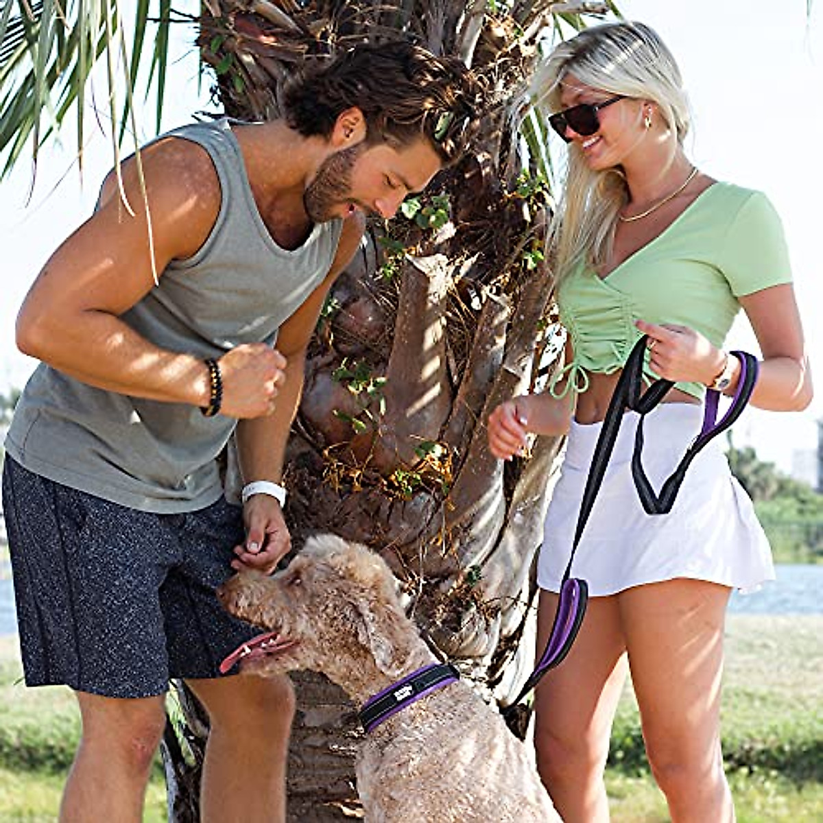 Black Rhino - The Comfort Collar Ultra Soft Neoprene Padded Dog Collar for All Breeds - Heavy Duty Adjustable Reflective Weatherproof (Medium, Purple/Bl)