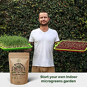 Beet Sprouting & Microgreens Seeds - Non-GMO, Heirloom Sprout Seeds Kit in Bulk 1lb Resealable Bag for Planting & Growing Microgreens in Soil, Coconut Coir, Garden, Aerogarden & Hydroponic System.