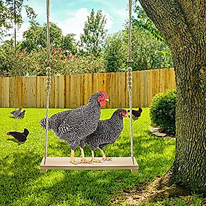 Chicken Swing Toys and Chicken Toys Xylophone, 2 Pack Chicken Toys for Poultry Run Rooster Hens Chicks Pet Parrots Macaw Entertainment Stress Relief for Birds