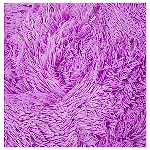 gdmgdr Soft Oval Nursery Rug for Girls Room Bedroom Oval Home Decor, 2.6' X 5.3', Purple