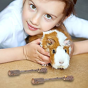 DAMPET Hamster Chew Toys, Hamster Activity Toys, Gerbil Rat Guinea Pig Chinchilla Chew Toys, Toys Accessories for Teeth Care,Natural Apple Wood Toys for Hamster, Rabbits, Bunny, Gerbil (Style 3)