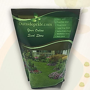 Outsidepride Borago Officinalis Borage Herb Garden Flowering Plants Great for Bee Pollination - 1 LB