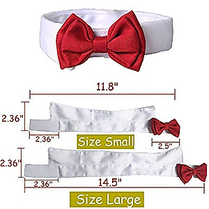 Bolbove Adjustable Formal Pet Bowtie Collar Neck Tie for Dogs & Cats (Small, Red)