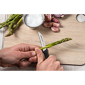 ARCOS Paring knife 3 inches Nitrum Stainless Steel.Paring Knife for Peeling Fruits and Vegetables. Ergonomic Polypropylene Handle and blade 80 mm. Innovation, Elegance. Series Nova. Color Black.