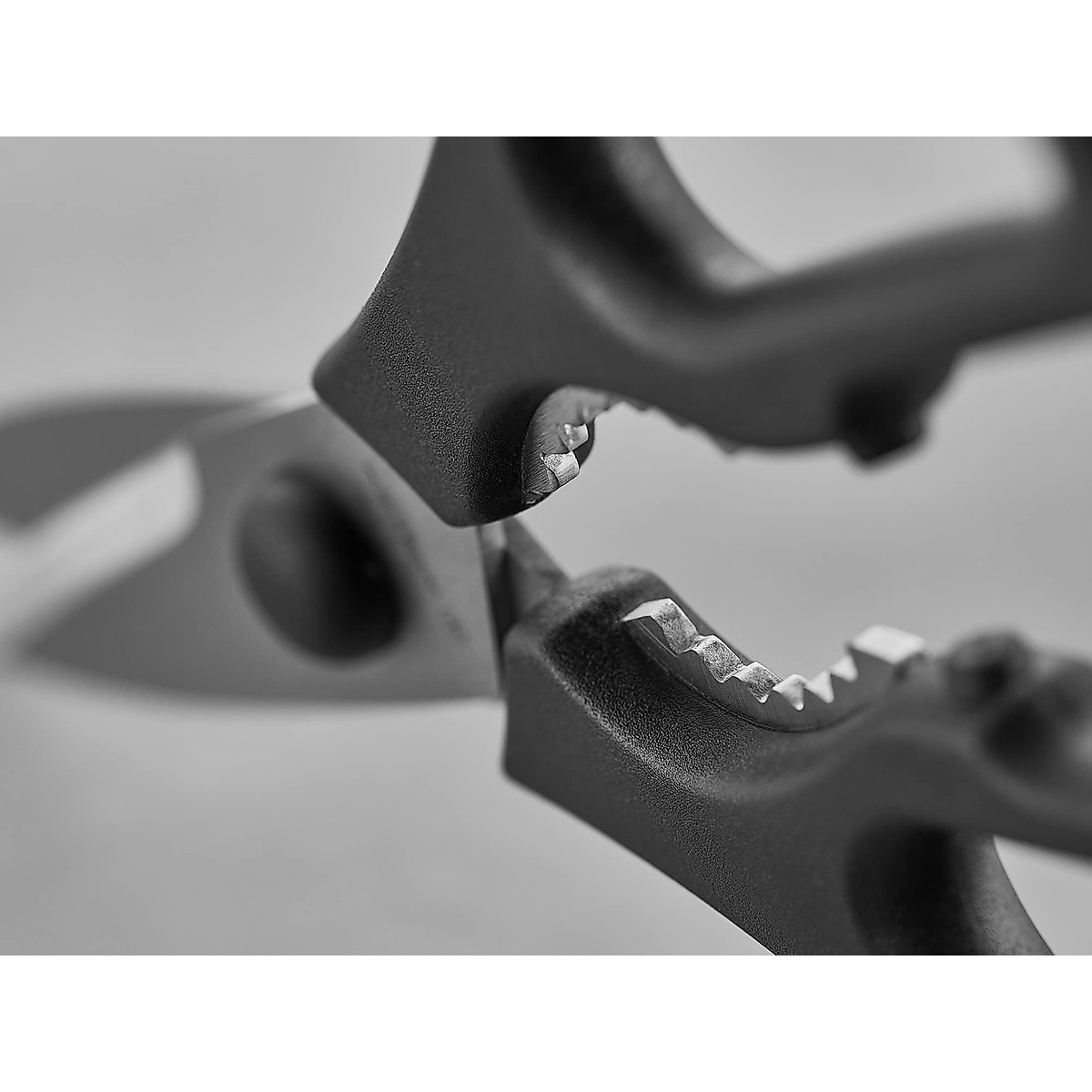 WÜSTHOF Come Apart Kitchen Shears