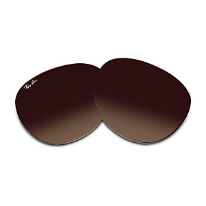 Ray-Ban Original RB4171 ERIKA 54M Brown Gradient Replacement Lenses For Women + BUNDLE with Designer iWear Eyewear Kit