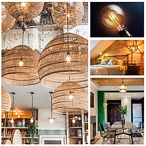 E ENERGETIC LIGHTING Edison Light Bulb, 5W Dimmable, G25 Globe Shape, Clear Glass, 60W Equivalent, 2700K Soft White, 500LM, G80 Christmas Light, E26 Standard Base, UL Listed, 6-Pack