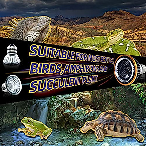 Reptile Heat Lamp,UVA UVB Reptile Light,Double-Head Turtle Light with 360° Rotatable Hose and Clamp,Full Spectrum LED UVB Sun Lamp and Two 50W Bulbs Suitable for Bearded Dragon,Turtle,Lizard,Snake