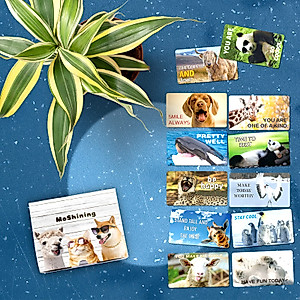 Fun Animal Motivational Quote Cards 360 Counts Encouragement Inspirational Kindness Appreciation Gratitude Business Cards Size Kindness Cards Gifts for Employees Students Teachers Kids…