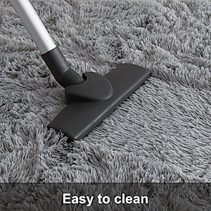 Quenlife Fluffy Rug for Living Room, Plush Shaggy 6x9 Rug for Bedroom, Soft Area Rugs Fuzzy Carpet with Anti-Slip Bottom for Kids Grils Room Nursery Home Decor, Grey