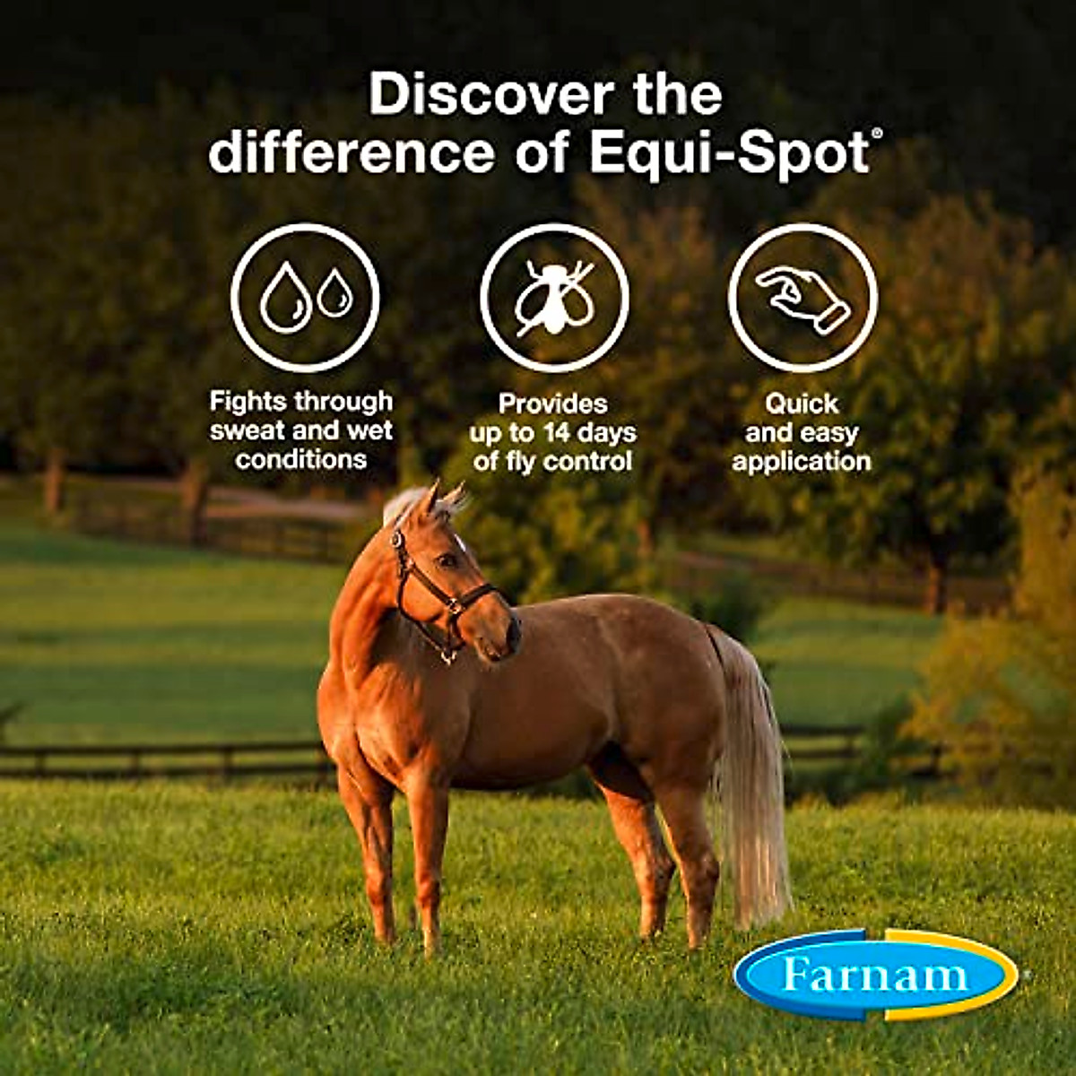 Farnam Equi-Spot, Horse Fly Control, Long-lasting Protection, 6 Applications, 12-Week Supply for One Horse
