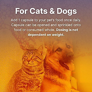Microbiome Labs Kids & Pet Probiotic Bundle - MegaSporeBiotic for Children + FidoSpore Spore Based Probiotics for Dogs and Cats