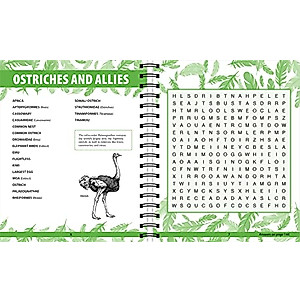 Brain Games - Birds Word Search Puzzles