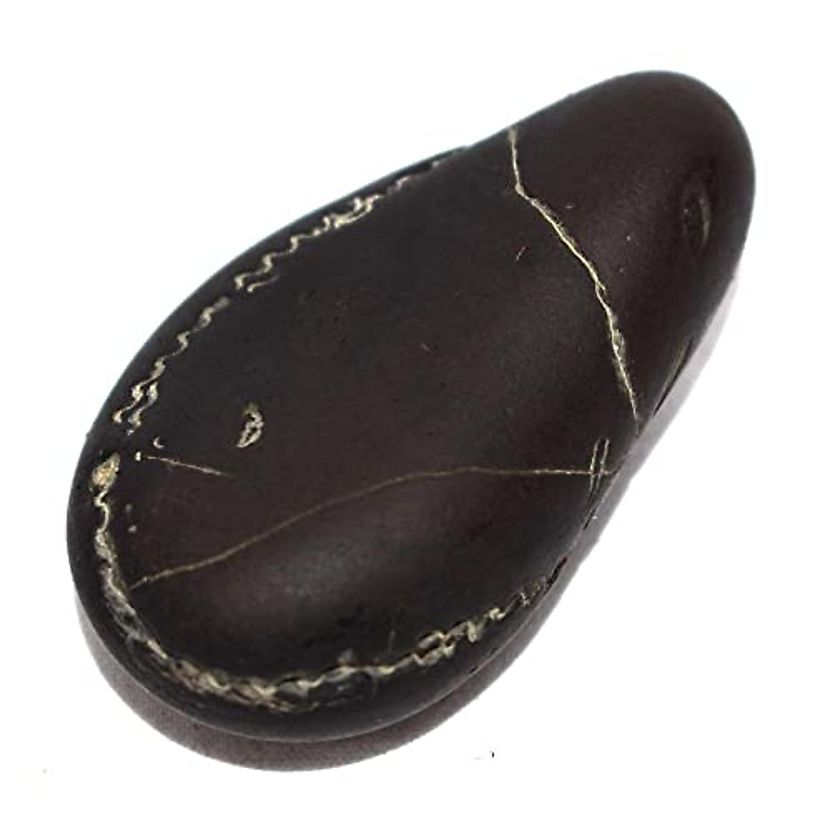 Laxmi Vishnu Paduka Shaligram - Gandaki River Nepal, Fossil, Fossil