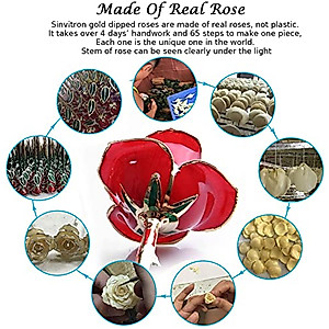 Sinvitron Red Real Rose Flowers, Gold Dipped Rose, Plated Real Rose with Stand & Box, Gift for Mom, Mothers Day, Thanksgiving, Birthday, Anniversary, Wedding, Valentines Day Gifts for her