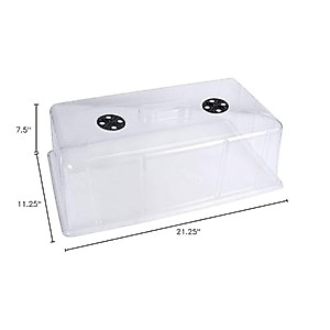 2 Sets 32 Cell Seed Starter Tray Plant Kit Extra Strength Starting Trays for Planting Seedlings, Propagation, Germination Plugs Seedling Planting Insert Plug Tray 2 of Each Cell Tray