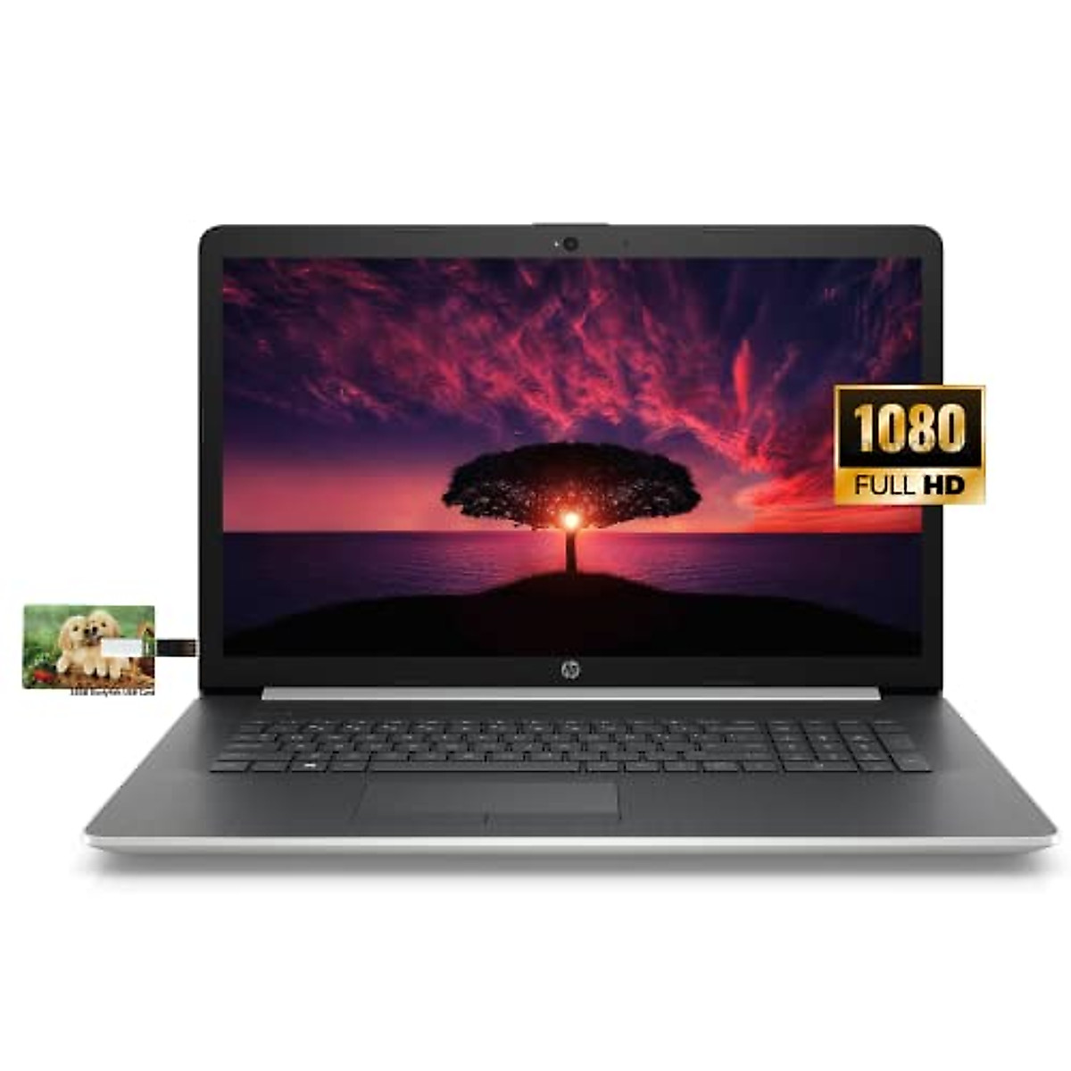 HP 17 Business Laptop Computer, AMD Ryzen 5 3500U, 17.3" FHD IPS Display, Windows 10 Pro, 12GB RAM 512GB SSD, AMD Radeon Vega 8 Graphics, Wi-Fi, HDMI, DVD-Writer, Silver, 32GB Durlyfish USB Card