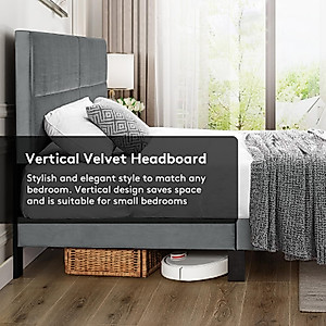 Zeelovtress Queen Size Bed Frame with Adjustable Headboard, Upholstered Platform Bed, Velvet Bedframe Mattress Foundation, Strong Wooden Slat Support, Easy Assembly, No Box Spring Needed, Silver Grey