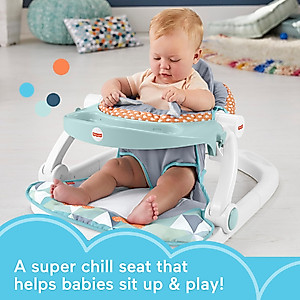 Fisher-Price Portable Baby Chair Sit-Me-Up Floor Seat With Snack Tray And Removable Toy Bar, Penguin Island