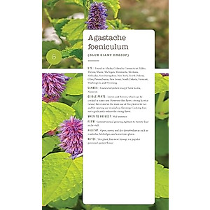 276 Edible Wild Plants of the United States and Canada: Berries, Roots, Nuts, Greens, Flowers, and Seeds in All or the Majority of the US and Canada