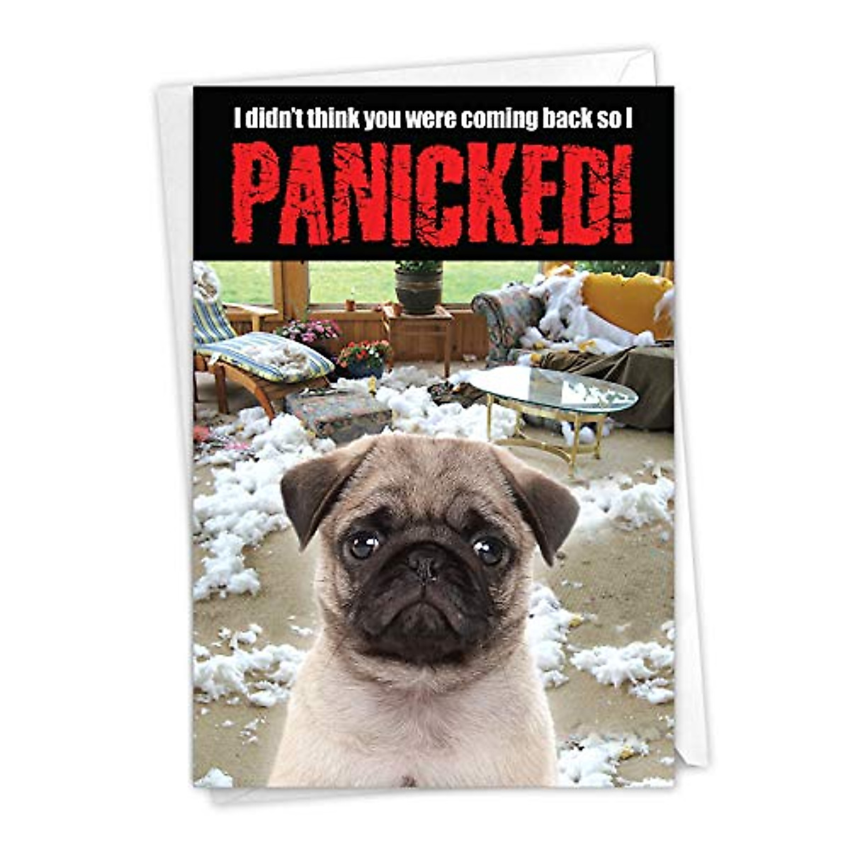 NobleWorks - 1 Cute Birthday Card with Envelope - Funny Wild Animals and Pets, Birthday Greeting - Dog Panicked C2233BDG