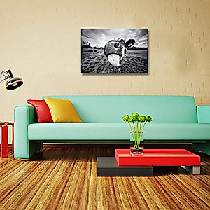 iKNOW FOTO Canvas Print Wall Art Black and White Freedom Highland Cow Pictures Funny Animal Painting Stretched and Framed Artwork for Home Office Decor Ready to Hang 24x36inch