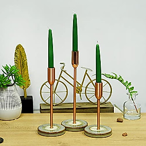 Zest Candle 12-Piece Taper Candles, 6-Inch, Hunter Green