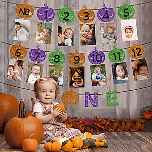 Halloween 1ST Birthday Party Decorations Pumpkin 12 Month Photo Banner for First Birthday Halloween First Birthday Decorations The Spooky One Birthday Decorations
