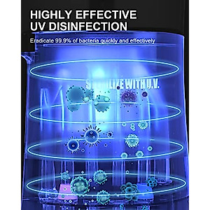 MySmile 1000ML Countertop Water Dental Flosser Teeth Cleaner 10 Settings Electric Power Oral Irrigator with UV Sanitizer Light Storage Bag and 7 Jet Tips