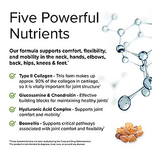 Terry Naturally Be Mobile - 60 Capsules - Joint Support Supplement - with Type II Collagen, Glucosamine, Chondroitin, Hyaluronic Acid & Boswellia - Non-GMO, Gluten Free - 20 Servings