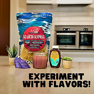 EDA Organics Raw St Lucia Sea Moss Bulk Bag - Raised by Hand on Clean Caribbean Coastlines - Harvested by local St Lucian Farmers - Makes over 180oz+ of Seamoss Gel (13 Jars!) - An authentic Dr Sebi Superfood (8oz BULK Bag)