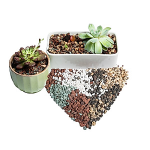 Bonsai Succulent Soil Potting Mix Ready to use Azalea Orchid Grow Potting Soil Plant Decorative Cover for Cactus 2.2LB Perlite Pumice Lava Rocks for Plants