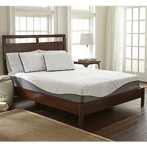 Perfect Cloud Made in The USA UltraPlush Charcoal-Infused 10-inch Memory Foam Mattress - Pressure Relieving - Bed-in-a-Box (Queen)