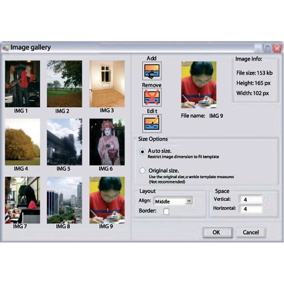 Do It Yourself Website