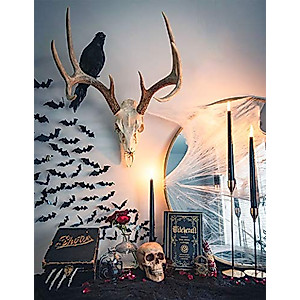 Joy Bang Halloween Bats for Wall Halloween 3D Bats Decoration Plastic Halloween Bats Stickers Halloween Decorative Bats for Home Wall Window Decorations