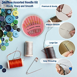 30 Pack Premium Hand Sewing Needles, 6 Sizes Assorted Sewing Needles for Handsewing Large Eye Stitching Needles for Sewing Repair Embroidery Needles Sewing Sharp Needles (1)