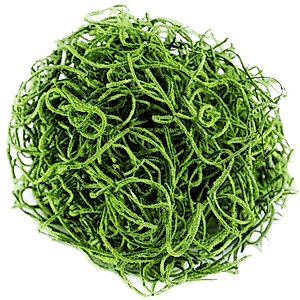 SuperMoss (26907) Spanish Moss Preserved, Grass, 4oz, 120 cubic in Bag (Appx. 4oz) (7 59834 26907 6)
