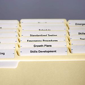 Avery Easy Peel File Folder Labels on 4" x 6" Sheets, 2/3" x 3-7/16", White, 3 Pack, 756 Labels Total (32131)