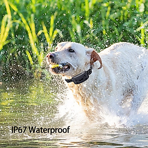 only warm Wireless Dog Fence Pet Containment System 2 in 1,Dog Trainging Collar for Dogs Over 6lb, Waterproof Adjustment Reflective Receiver 800 Feet/300 Meter Freedom Fence (Black)