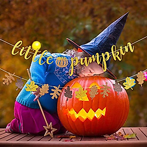 Glitter Little Pumpkin Banner with Pumpkin Fall Leaves Garland Banner -Thanksgiving Autumn Festival Fall Theme Baby Shower Kid's Birthday Party Decorations Supplies